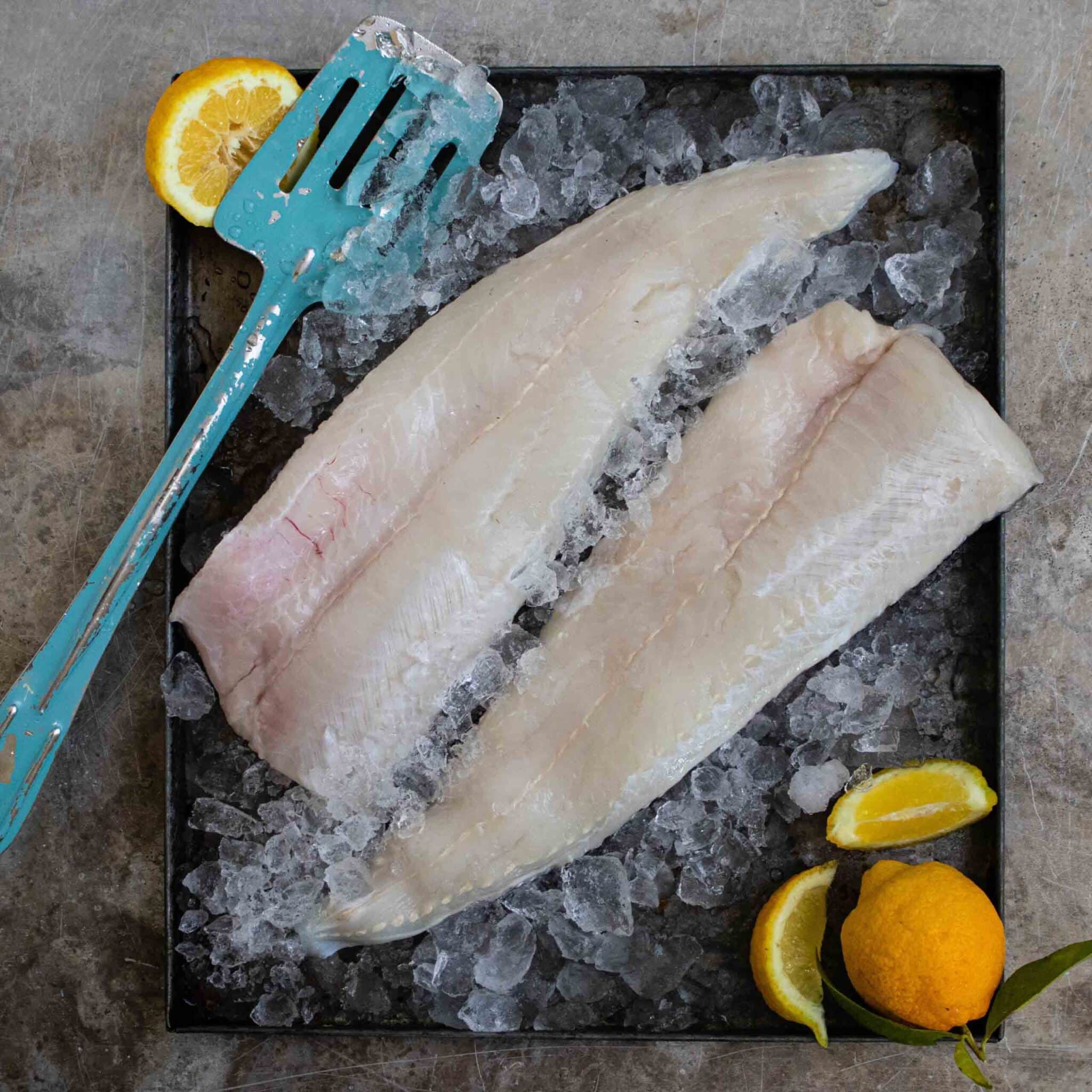 Hake (Fresh) - Mother City Fish